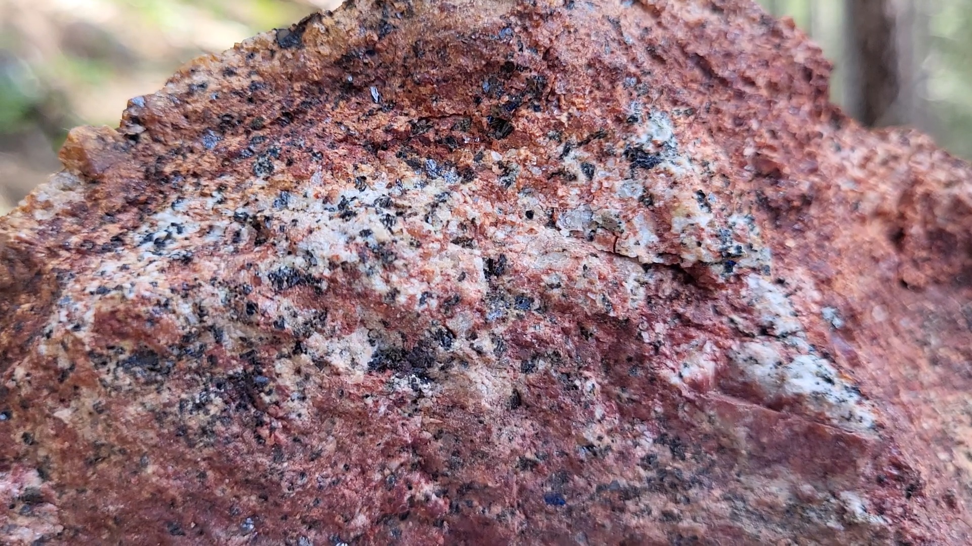 Granite Alcalin - Géodiversité.NET