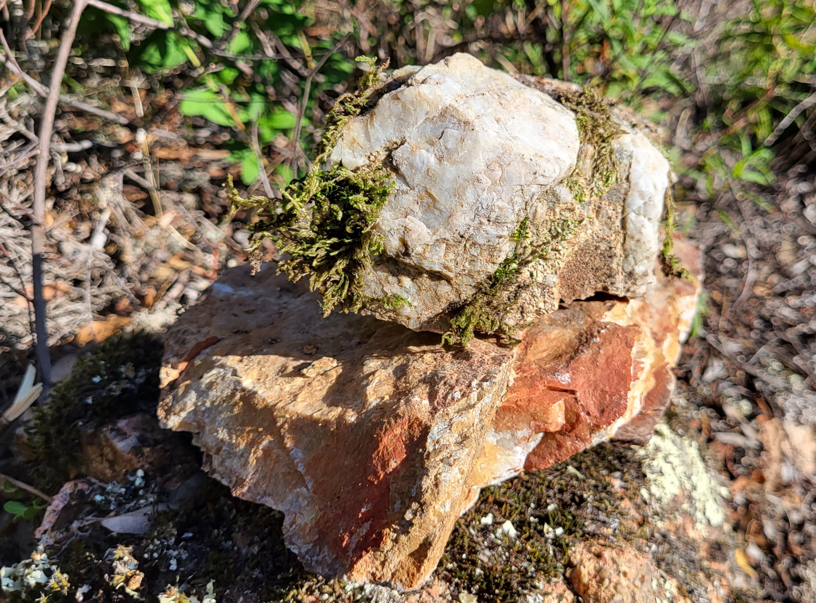Corse - Ocana - Punta d'Arese -Granite Perthitique à Hastingsite ...