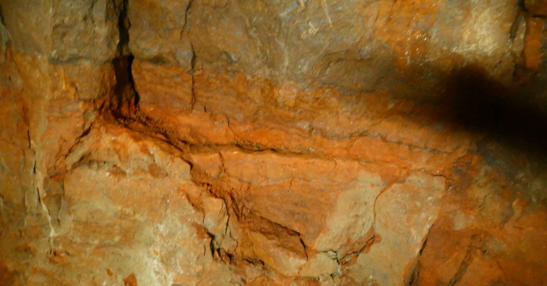 Couche de Minette de Lorraine, Neuves Maison - Géodiversité.NET