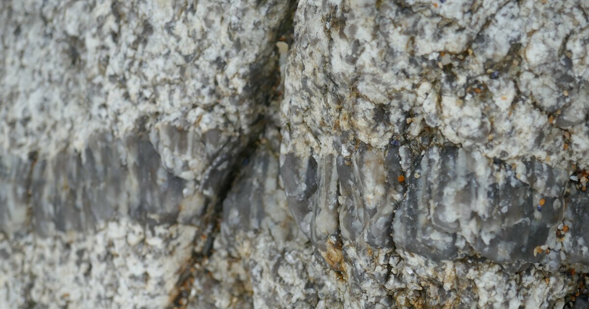 Filon de Pegmatite à texture harrisite. - Géodiversité.NET