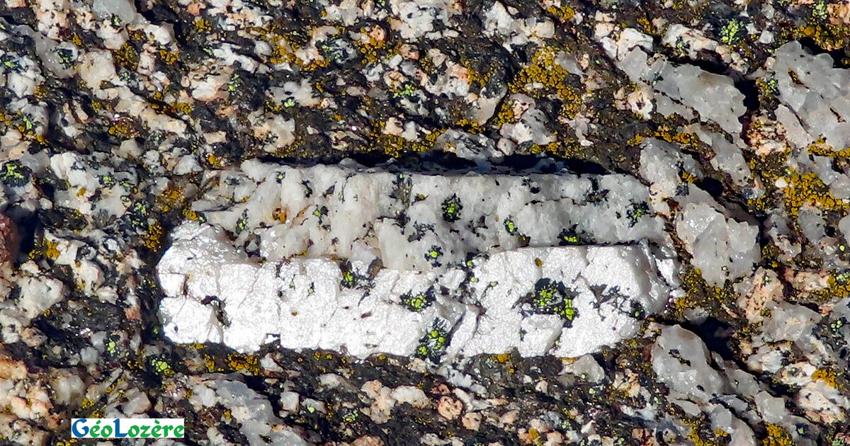 Macle de Carlsbad - Géodiversité.NET