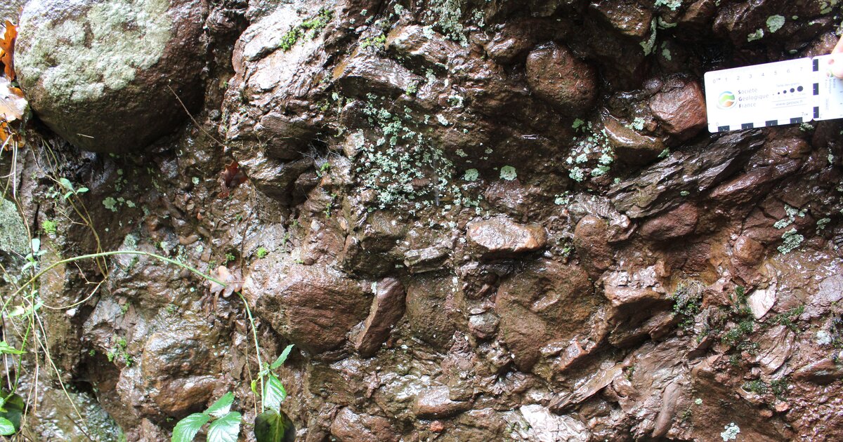 Conglomérat pourpre stéphanien dans la région de Faymoreau ...