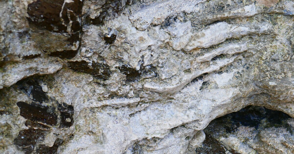 concrétion grès à ciment calcaire - Géodiversité.NET