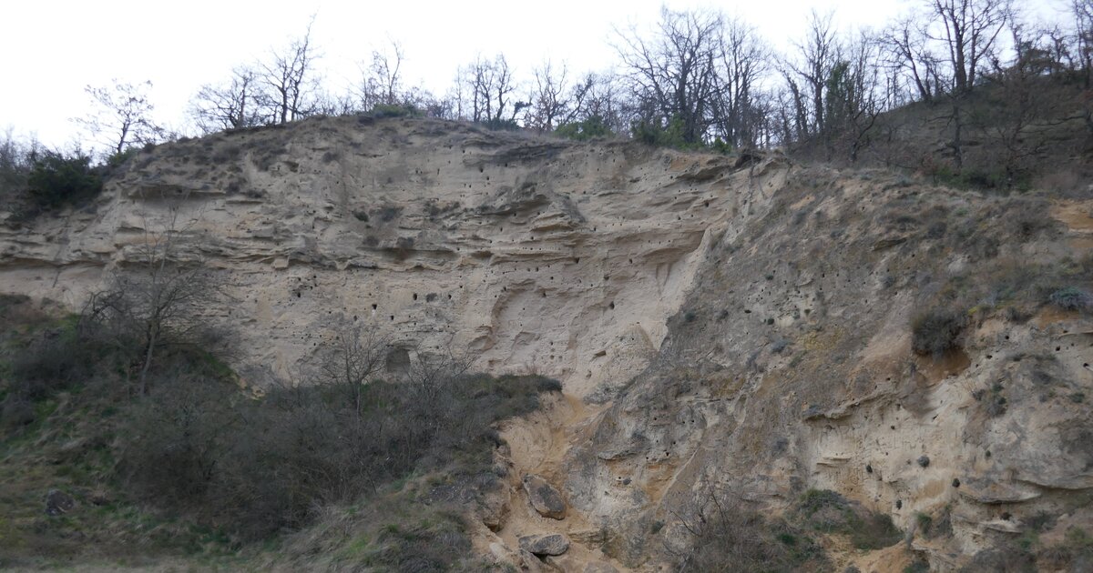 Molasse miocène du Bas-Dauphiné - Géodiversité.NET
