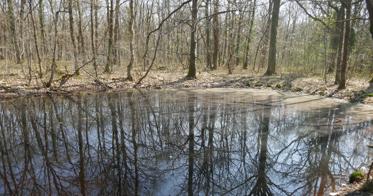 La Doline à Siphon à Limère - Géodiversité.NET