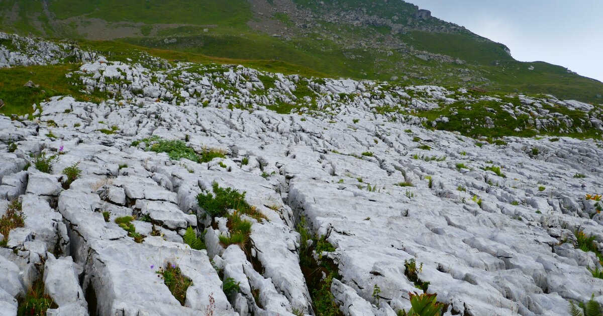 Lapiez désert du Platé - Géodiversité.NET