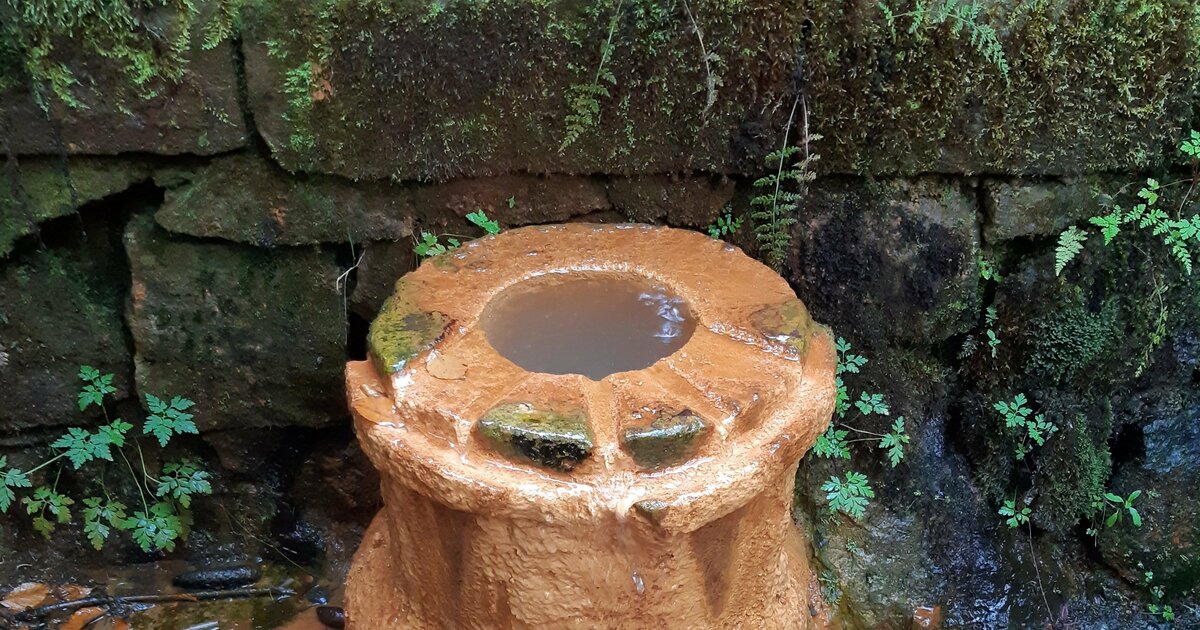 Source gazeuse de Goyon - Géodiversité.NET