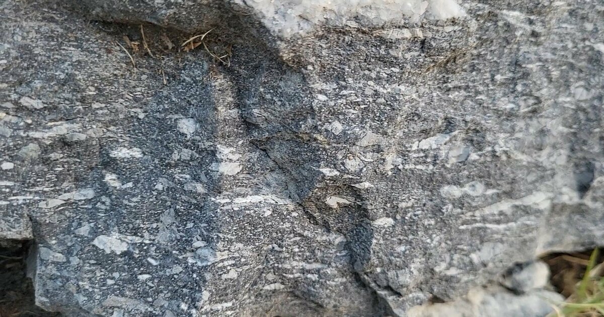 Corse - Corte - Restonica - Marbre cipolin - Géodiversité.NET