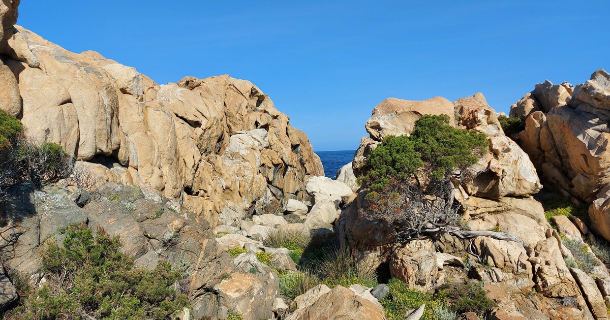 Granite Leucocrate - Géodiversité.NET