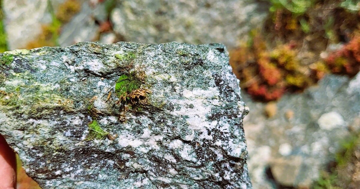 Diorite - Géodiversité.NET