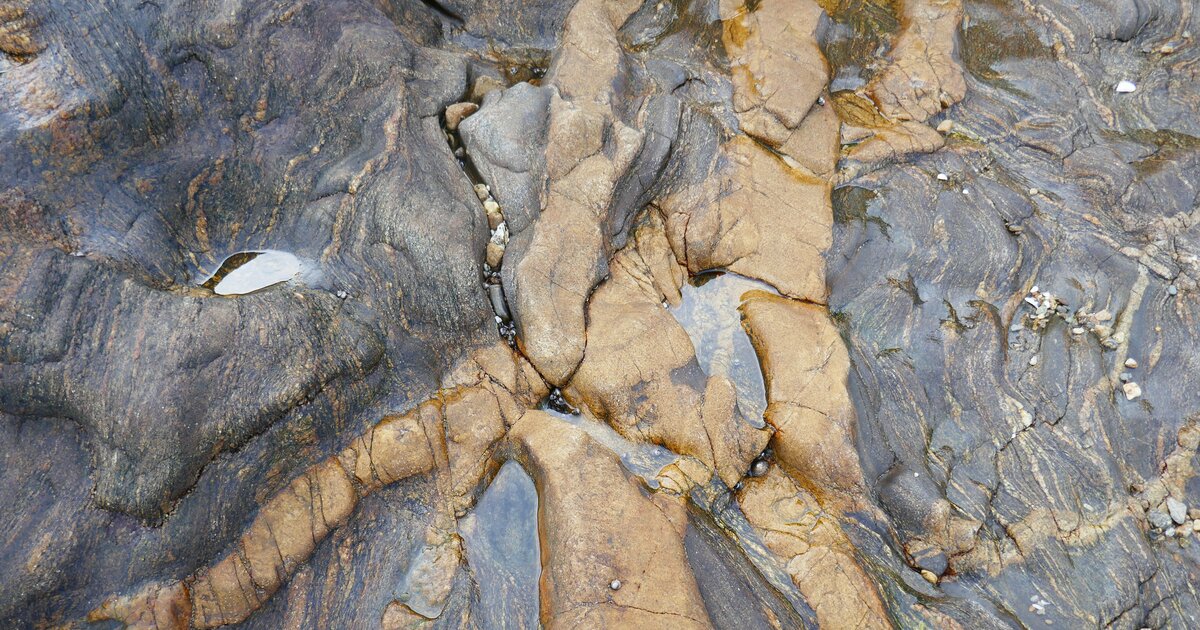 Filon granitique dans migmatites du Golfe du Morbihan - Géodiversité.NET