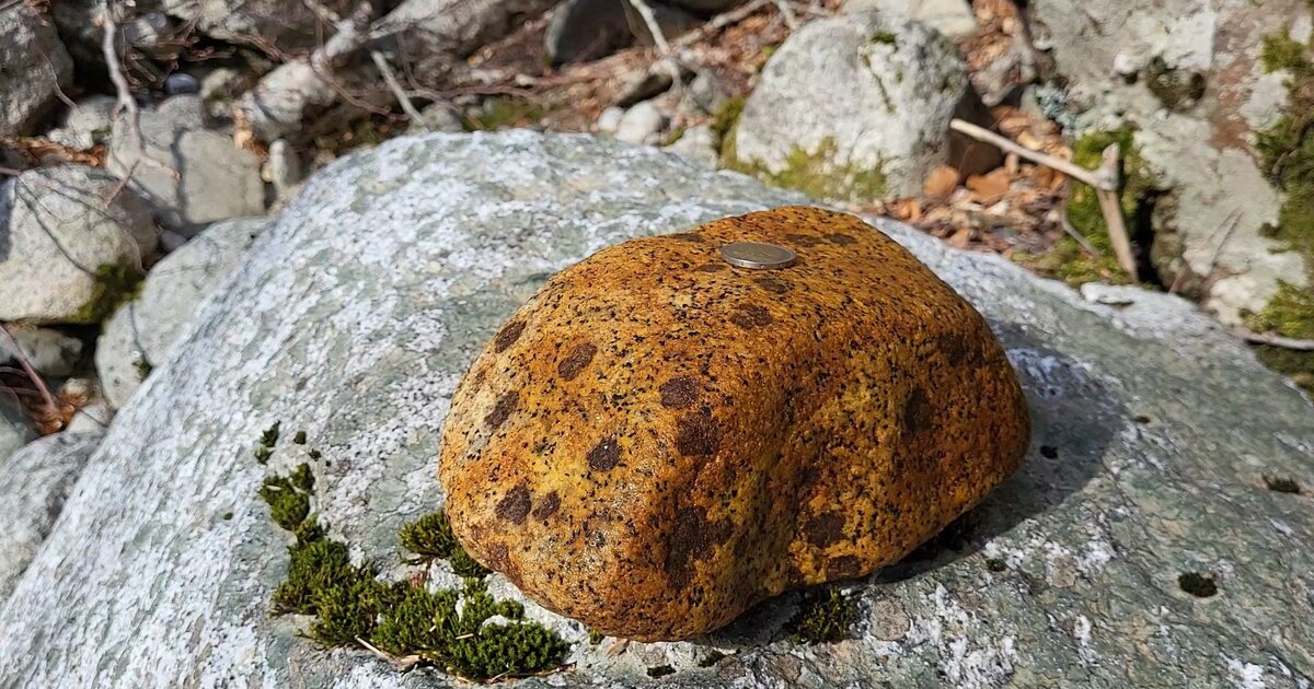 Granodiorites à Grenats - Géodiversité.NET