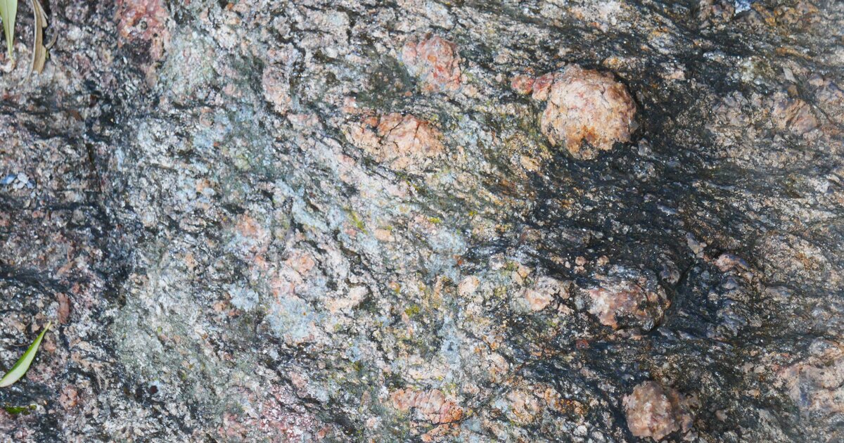 Faciès oeillé du gneiss rose de Cannes - Géodiversité.NET