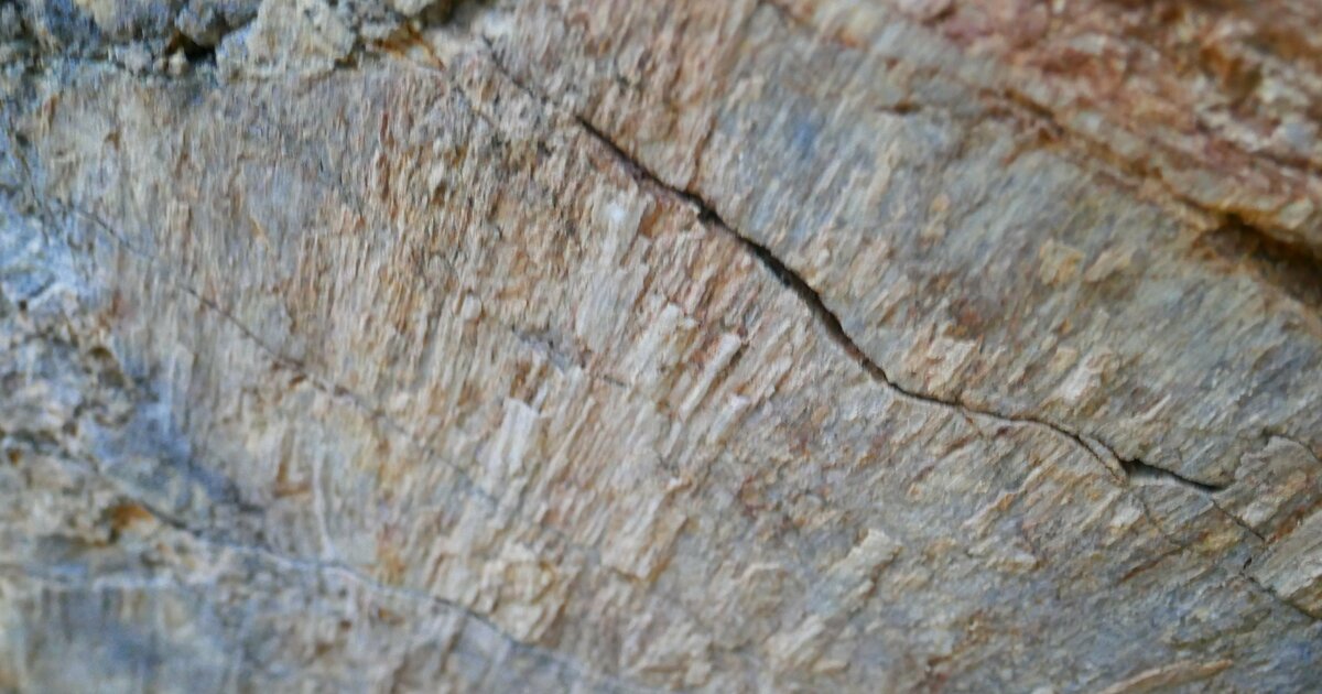 Stries de Failles sur un plan de la faille des Cévennes - Géodiversité.NET