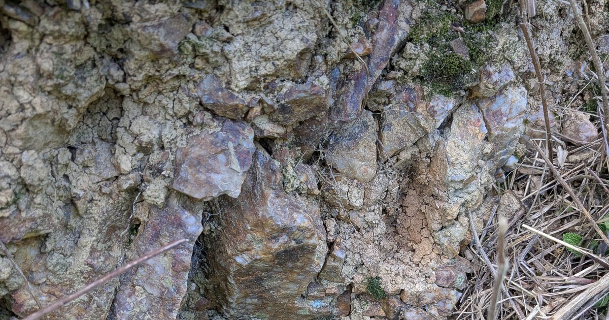 Wackes dominantes - Géodiversité.NET