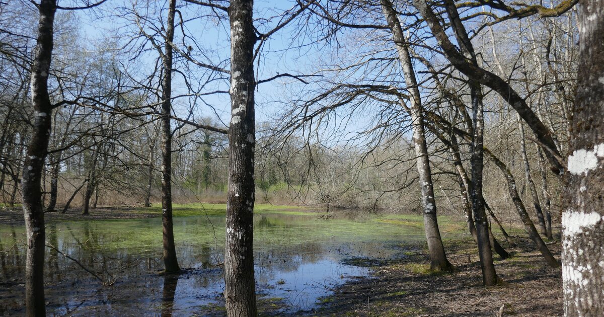 La grande Doline de Limère. - Géodiversité.NET