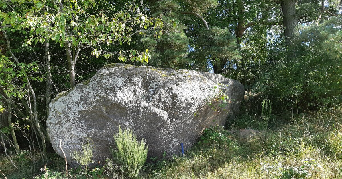 Mégabloc trachytique (Saint-Nectaire) - Géodiversité.NET