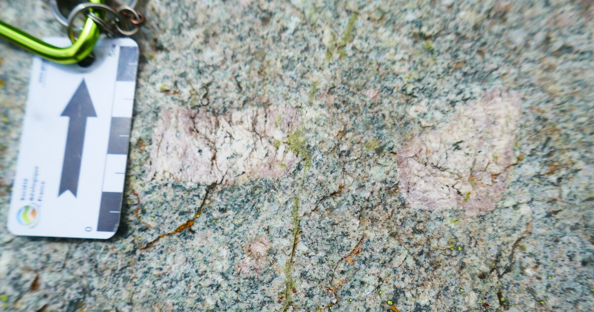 Microcline dans le Granite du Riéou Blanc - Géodiversité.NET
