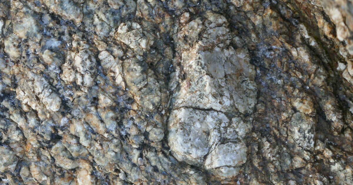 Orthogneiss de Port Manec'h - Géodiversité.NET