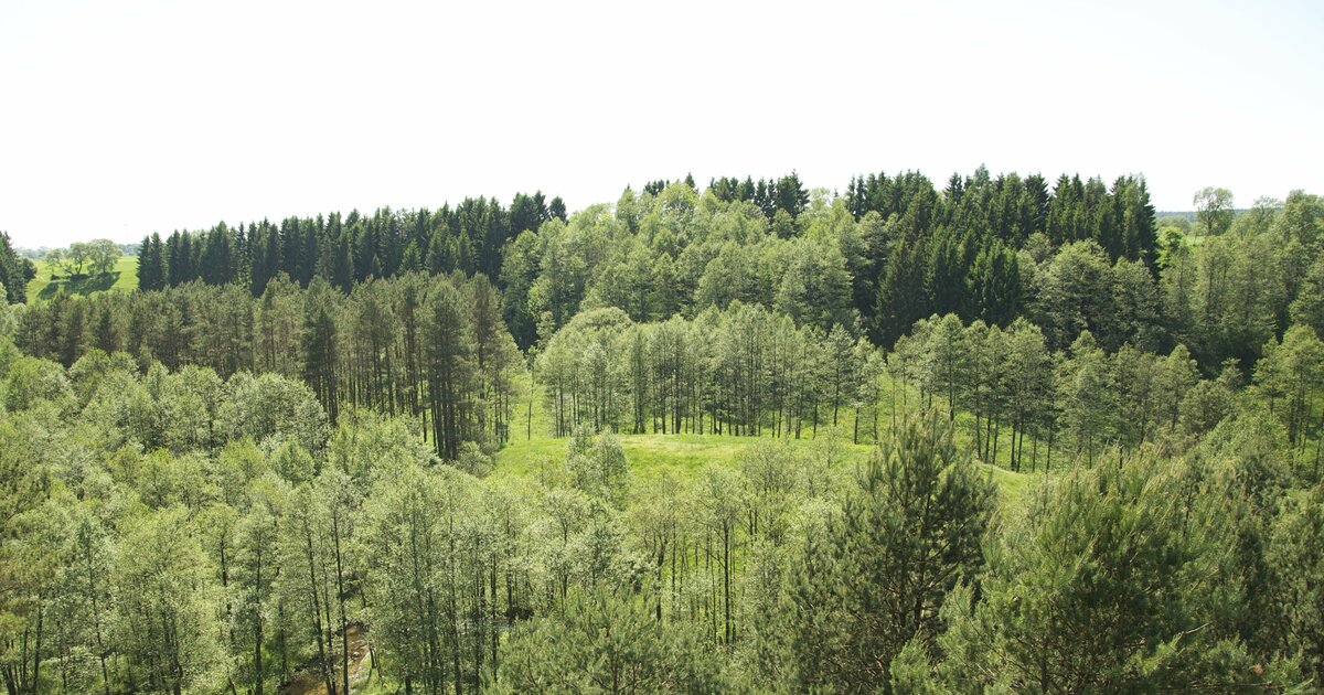 Esker (formation post-glaciaire) - Géodiversité.NET