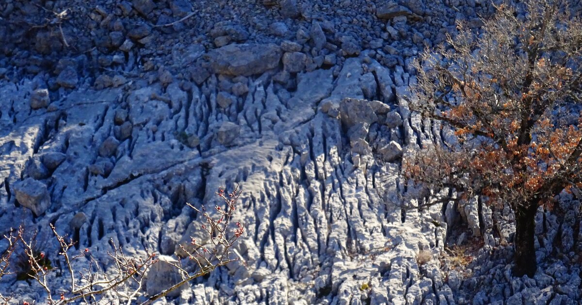 Lapiez sur le plateau de Caussols - Géodiversité.NET