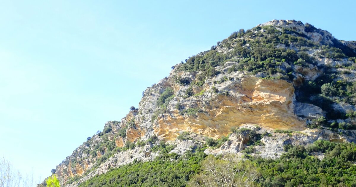Molasse calcaire Miocène de la Nappe du Nebbio - Géodiversité.NET