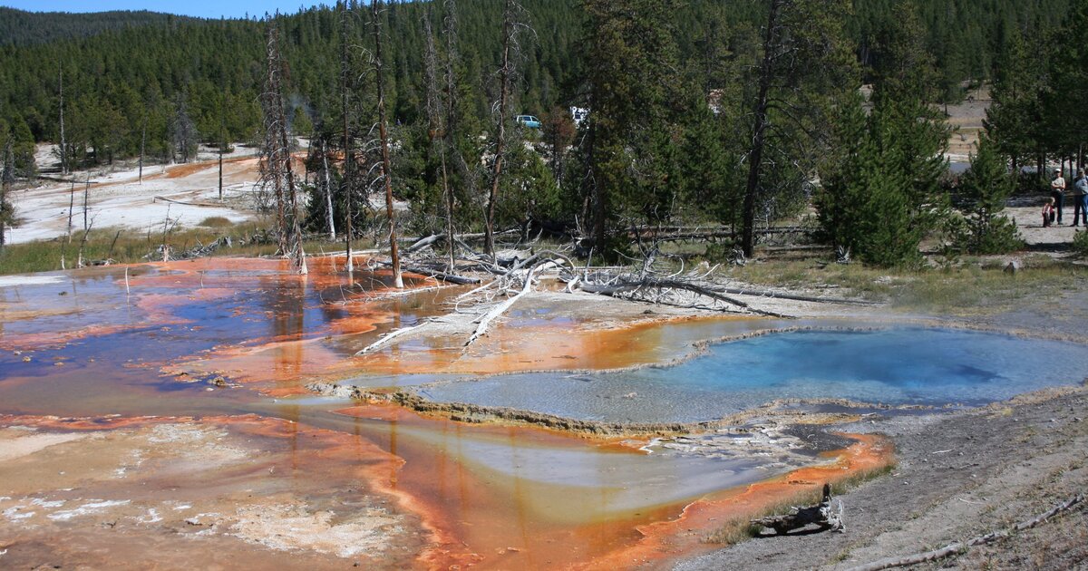 Sources hydrothermales de Firehole - Géodiversité.NET