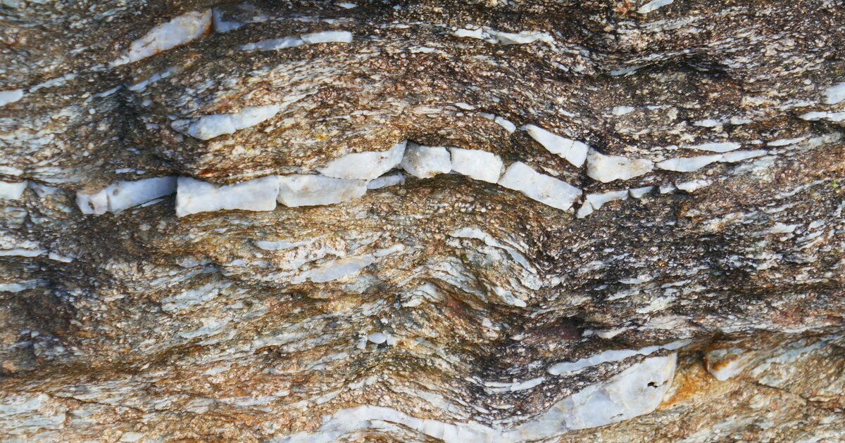 Micaschistes de la pointe du Grand Mont (St Gildas de Rhuys ...