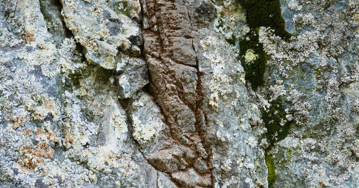 Filon de Rhyodacites dans les Gneiss des Bancs - Géodiversité.NET