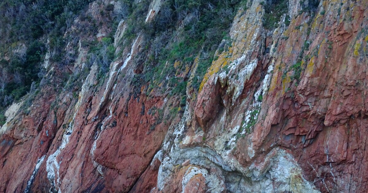 Filon dans granite rose de Piana - Géodiversité.NET