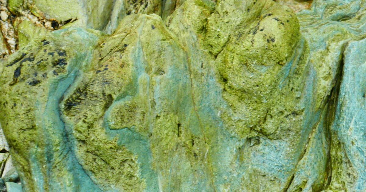 Schistes verts de la plage des Curés - Géodiversité.NET