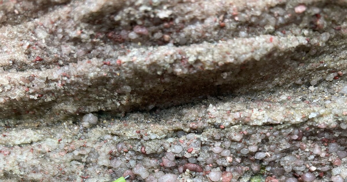 Grès rose (arkose) de la plage de Fosse, au Cap Fréhel - Géodiversité.NET