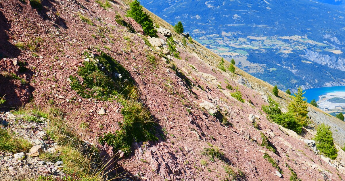 Argilites versicolores du trias du Mont de Morgon - Géodiversité.NET