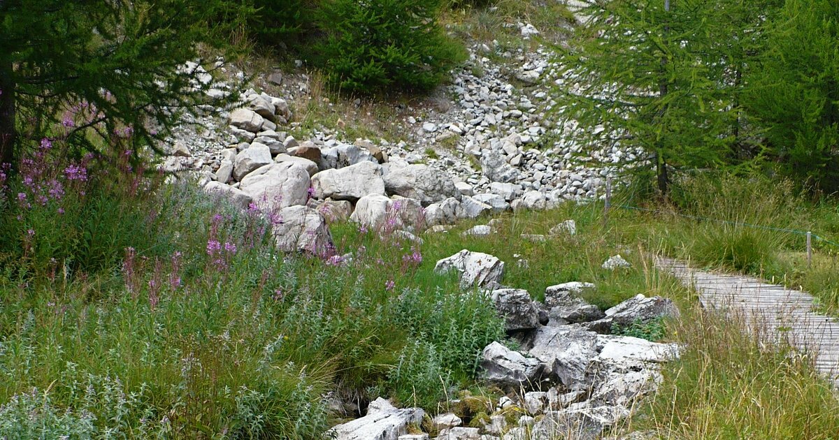 Source du Var (1780 m.) - Géodiversité.NET