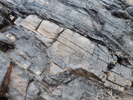 Figures de tempête (Postolonnec) - Géodiversité.NET