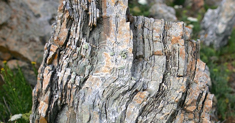 Eclatement d'une strate - Pointe de Dinan - Géodiversité.NET